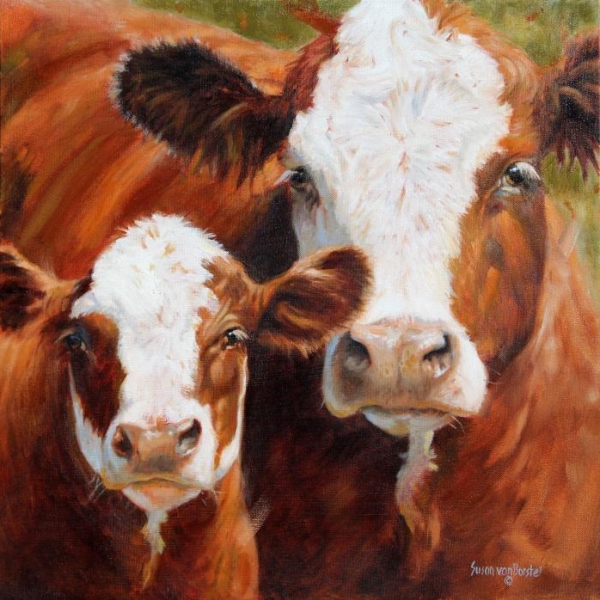Animals